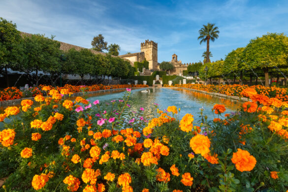 Discover the Charm of Spain in Spring: Blooming Landscapes and Vibrant ...